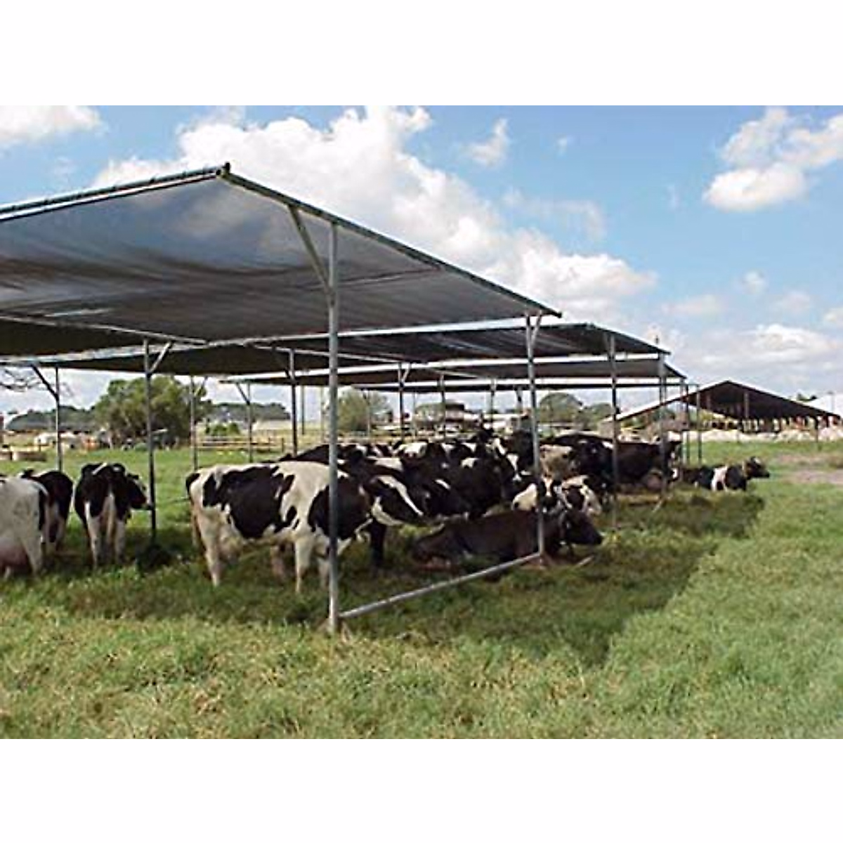 Dewitt K6 Knitted Shade Fabric Roll, Black, 100-Feet