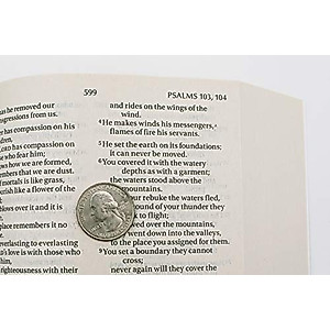 NIV, Holy Bible, Larger Print, Paperback