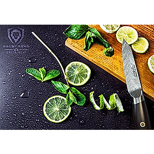 Dalstrong Paring Knife - 4 inch - Omega Series - BD1N-V Hyper Steel Kitchen Knife - G10 Woven Fiberglass Handle - Razor Sharp Knife - Leather Sheath Included