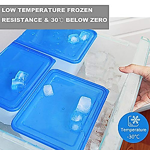 Food Storage Containers with Lids(45.6 Ounce,10 Pack) - Plastic Containers with Lids Storage, Rectangular Meal Prep Plastic Containers Freezer Containers,Kitchen Food Deli Containers
