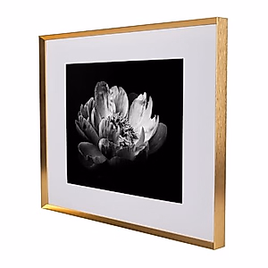 Mikasa Metal Portrait Frame, Displays 11x14 Photo with Mat, 16x20 without Mat, Gold