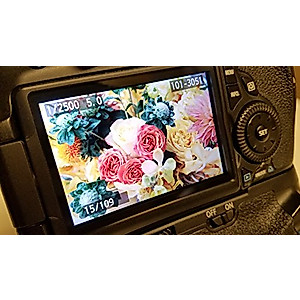 Canon EOS 60D 18 MP CMOS Digital SLR Camera with 3.0-Inch LCD & 18-55mm f/3.5-5.6 IS Zoom Lens