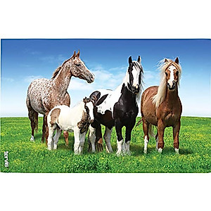 Tervis Horses Made in USA Double Walled Insulated Tumbler Travel Cup Keeps Drinks Cold & Hot, 16oz, Clear