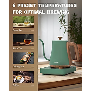 Electric Kettle, 1000W Quick Heating Gooseneck Kettles, 0.8L/27.05oz, 0.8mm Ultra-Fine Spout, Precise Water Flow Control, 304 Stainless Steel Inner, Auto Shut-Off, Boil Dry Protection, Matte Green