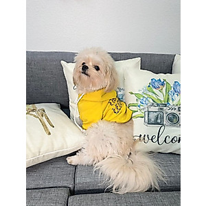 YoPetMax Pet-Parent Matching Leopard Pattern Family Look Pullover Hoodie Sweatershirt for Cat Small Dog Kitten Puppy Dogs&Mommy Outfits Clothes are Sold Separately(XL,Yellow)