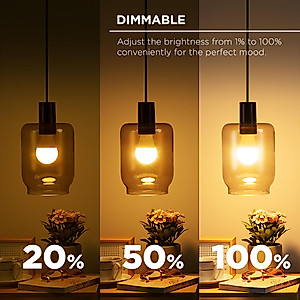 Merkury Smart A19 Color Changing Light Bulbs - 2-Pack, Dimmable, Compatible with Alexa and Google Assistant