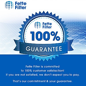 Fette Filter - Carbon Filter Replacement Compatible with Dyson K-Carbon, Compare to Part # 972133-02 & 972133-03 for Dyson Models BP03/BP04/BP06 Purifier Big+Quiet Formaldehyde Extra Large. 1-Pack