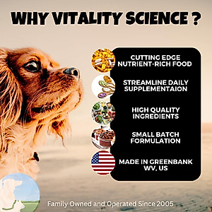Vitality Science - Gastro Prime Combo for Cats | Supports Normal GI Function and Improves Nutrient Assimilation