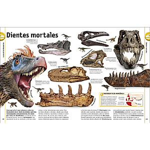 El libro de los dinosaurios (The Dinosaur Book) (DK Our World in Pictures) (Spanish Edition)
