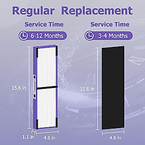FLT4850PT HEPA Filter B Replacement Compatible with AC4825 AC4300 AC4800 AC4900 AC4850, 4 True HEPA Filters & 8 Activated Carbon Pre-Filters, Pet Pure Version, Purple
