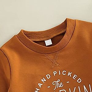 Toddler Baby Girl Boy Halloween Outfit Pumpkin Patch Crewneck Sweatshirt Pullover Sweater Fall Halloween Clothes (Hand Picked The Pumpkin Patch-Brown,6-12 Months)