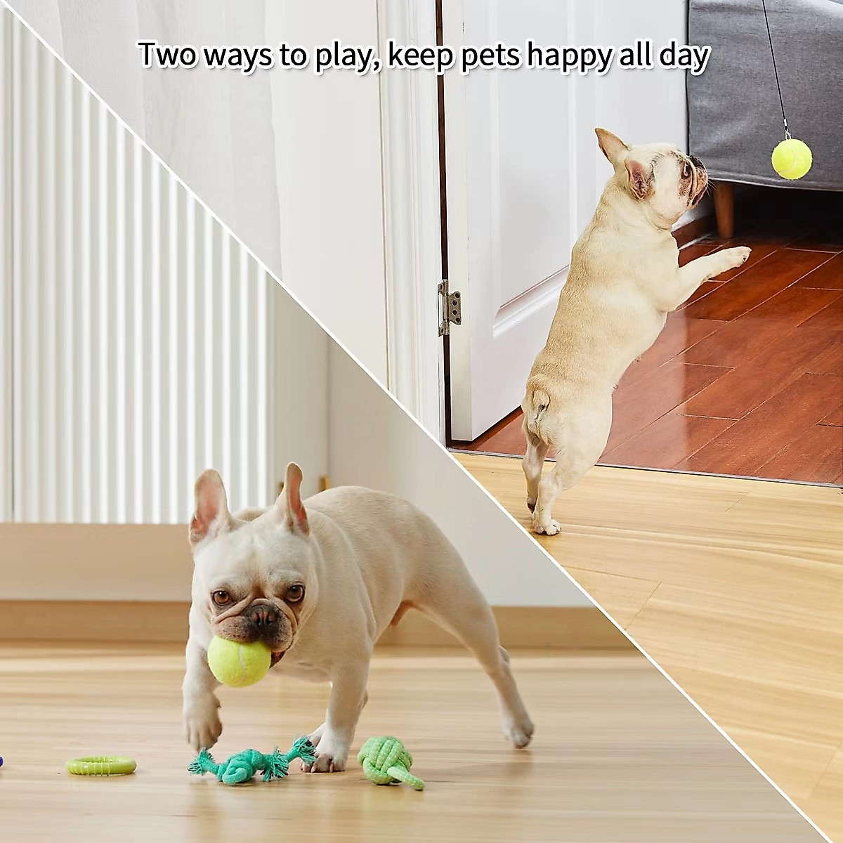 CZPET Puppy Toys 6PCS Set Puppy Chase Toys Pet Automatic Elastic Hanging Rope Door Interactive Energy Jump Exercise Toys Tennis Ball Knot Ring Chew Busy Dog Puppy Toys