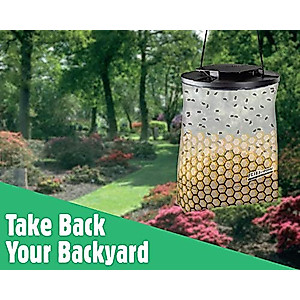 Flies Be Gone Fly Trap - Disposable Non Toxic Fly Catcher - Made in USA - Natural Bait Trap for Patios, Ranches. Easy to Use Outdoor Fly Traps, Keeps Flies from Coming Indoors (2 Pack)