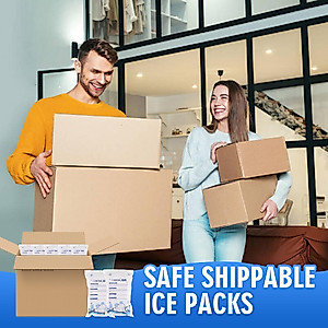 36pc Dry Ice Packs Shipping Cold Packs for Frozen Food, 7.3in×4.33in Bulk Dry Ice Sheets for Coolers Reusable, Cold Shipping Packaging Keep Foods Drinks Cold
