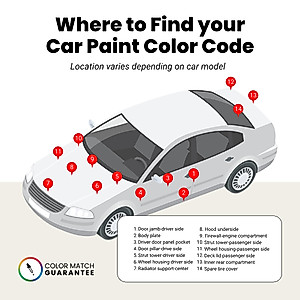 TouchUpDirect WA8555/41/GBA Black Raven Compatible With Cadillac Exact Match Touch Up Paint Combo - Essential Kit