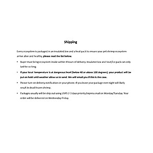 Enclosed Ecosystem Shrimps Bottle