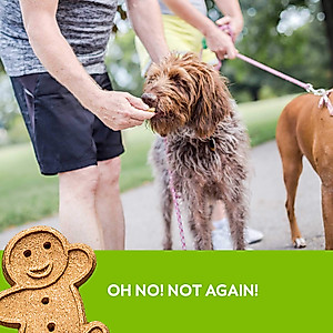 Buddy Biscuits Cloud Star, Roasted Chicken, 16 Ounce