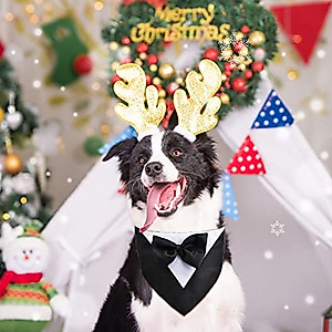 URROMA 1 PC Formal Dog Bandana Collar, Pet Tuxedo Collar with Bow Tie Dog Wedding Bowtie Collar, Black L