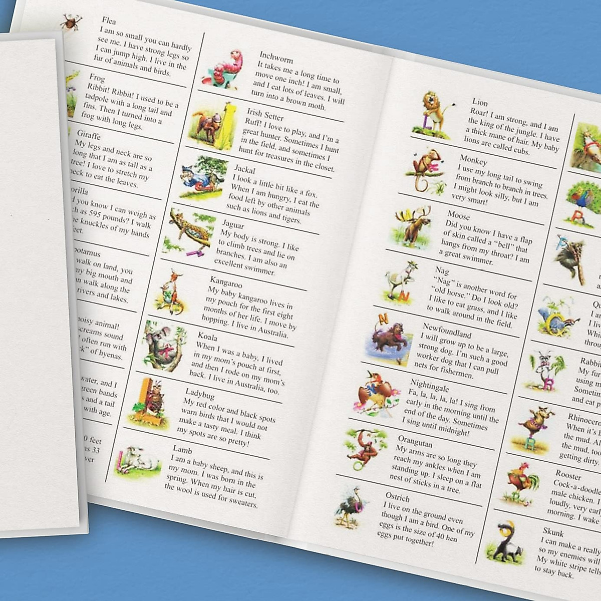 My Very Own Name - Personalized Children's Story - I See Me! (Hardcover)