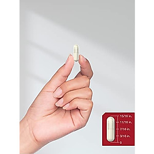 Horbäach Apple Cider Vinegar Capsules | 2400mg | 150 Count | Non-GMO, Gluten Free Supplement