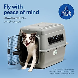 Petmate Sky Kennel - For Air and Travel, Airline Approved Dog Crate for Pets 30-50 lbs, Heavy Duty Dog Kennel, Made in the USA- 32 Inches