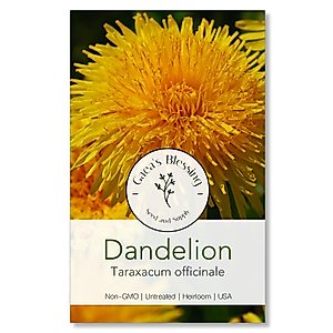 Gaea's Blessing Seeds - Dandelion Seeds - Common Dandelion - Non-GMO Herb Seeds with Easy to Follow Instructions, Heirloom, Open-Pollinated, Untreated