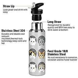 Cute Cat Kitten Water Bottle Kids Insulated Thermos Stainless Steel Hot Cold Water Flask Jug with Straw Lid for Sports Gym Running 20 oz