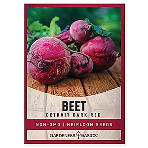 Beet Seeds for Planting Detroit Dark Red 100 Heirloom Non-GMO Beets Plant Seeds for Home Garden Vegetables Makes a Great Gift for Gardeners by Gardeners Basics