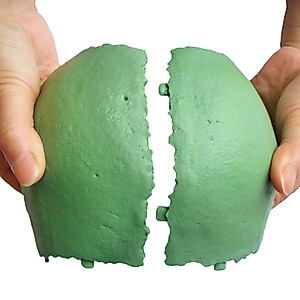 Human Medical Anatomical Adult Osteopathic Skull Model, 22-Part Didactic Colored