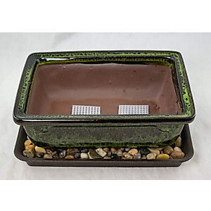 8" Rectangular Moss Green Bonsai/Succulent Pot + Tray + Rock + Mesh Combo