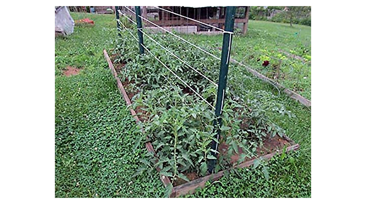 IRRIGATION-MART 6300FT Tomato Tying Twine for Gardens