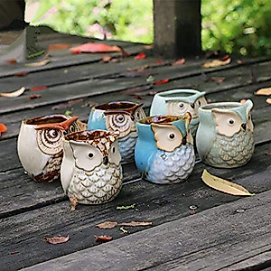 Weierken 12PCS Owl Pot Ceramic Flowing Glaze Base Serial Set Mini Succulent Plant Pot Cactus Plant Pot Container Planter Bonsai Pots with A Hole