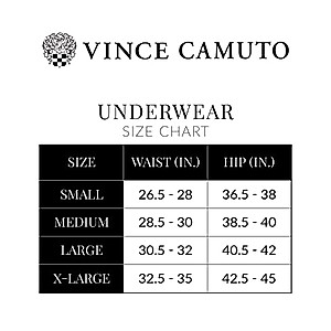Vince Camuto Women's Underwear ? Seamless Lace Hipster Briefs (3 Pack), Size Medium, Black/Soft Violet/Taupe
