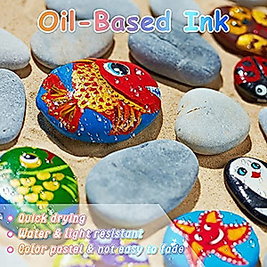 20 Colors Acrylic Paint Marker Set Acrylic Paint Pens, Quick Dry Paint Markers Set for Metal Rock Painting Canvas Wood Glass Plastic Fabric DIY Art Craft Painting Supplies
