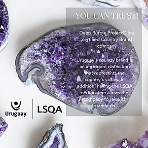 Deep Purple Project Huge A Grade Amethyst Crystal Geode from Uruguay 1.5 lb to 2.2 lb Premium Gift Box Perfect for Collectors