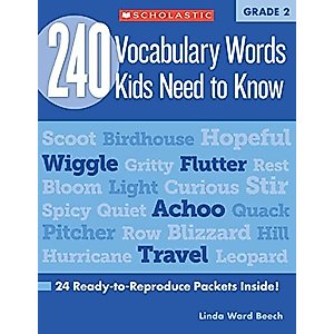 240 Vocabulary Words Kids Need to Know: Grade 2: 24 Ready-to-Reproduce Packets Inside! (Teaching Resources)