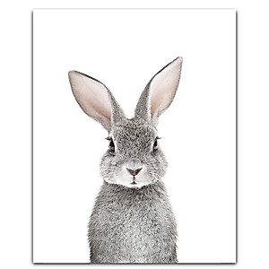 Designs by Maria Inc. Baby Nursery Wall Decor Art - Set of 2 (UNFRAMED) Wall Artwork 8x10 Baby Bunny Front and Back Photographic Print