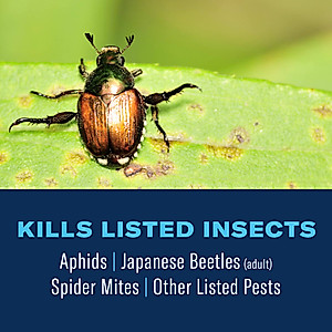 BioAdvanced 3-in-1 Insect, Disease & Plant Mite Control, Ready-to-Use, 24 FOZ