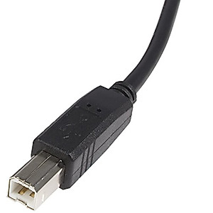 StarTech.com 6 ft. (1.8 m) USB Printer Cable - USB 2.0 A to B - Printer Cable - Black - USB A to B (USB2HAB6)