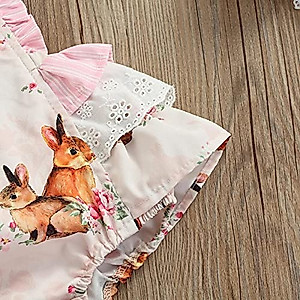 Amberetech Infant Easter Outfit Baby Girls Romper Toddler Bodysuit Cute Sleeveless Ruffle Bunny Printed Jumpsuit Clothes (12-18 Months, Pink)