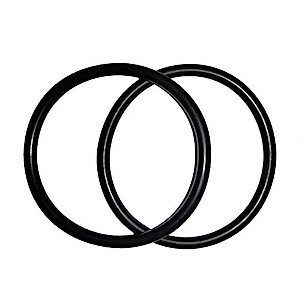 R172009 O-Ring For Pentair Model 300/320 Pool and Spa Chlorinator Lid (2/Pack)
