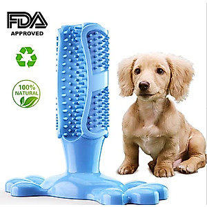 Dog Toothbrush Brushing Stick Puppy Dental Care Chew Teeth