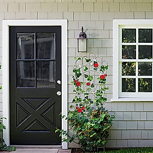 XYADX Metal Detachable Trapezoidal Garden Trellis for Climbing Plants, 60 Inches Sturdy Patio Plant Support for Indoor Plants Trellis for Rose, Vegetable Flower, Backyard Pack of 2 - White