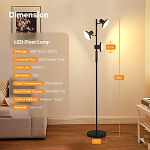 SIBRILLE 20W Modern Floor Lamps for Living Room + 36W LED Tree Floor Lamp with Remote Control