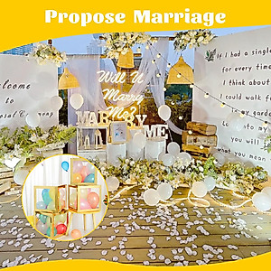 Onteftshop Baby Boxes with Letters for Baby Shower, 4 Clear Baby Block Party Decorations, Transparent Balloon Boxes for Gender Reveal Decorations and Birthday Party (Gold)