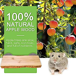 Chinchilla Wood Ledge 2Pcs Natural Wooden Shelf Standing Platform Chew Toys for Hamster Rat Guinea Pig Mouse Bird 2.6" x 5.9"