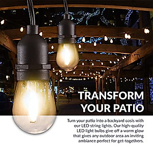 Newhouse Lighting LED String Lights with Weatherproof Technology, Dimmable with Wireless Remote Control, 48ft and 16 (15+1 Free) LED Light Bulbs Included, Black (CSTRINGLEDDIM)