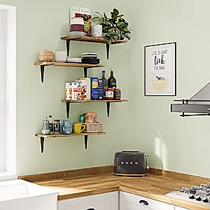 Wallniture Arras 24"x8" Floating Shelves for Wall Storage, Wall Bookshelf for Living Room Decor, Kitchen Organization and Storage Shelves, Bedroom Bookshelves, Burnt Finish Set of 4