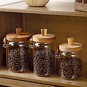 ANSQU Glass Jar with Wooden Lid & Spoon, 20.3oz Food Storage Containers Coffee Jar Coffee Grounds Container, Coffee and Food Storage Canister (1 Pack)