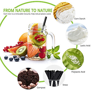 Plasticless 100 Pcs PLA Disposable Drinking Straws Corn Plant Based Biodegradable Straws, BPA Free Compostable Stir Sticks Black Straws, Reusable Straws Alternative to Plastic Straws for Party Drinks